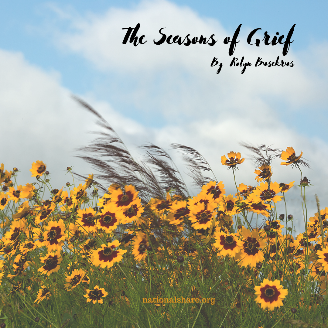 The Seasons of Grief - Share Pregnancy & Infant Loss Support